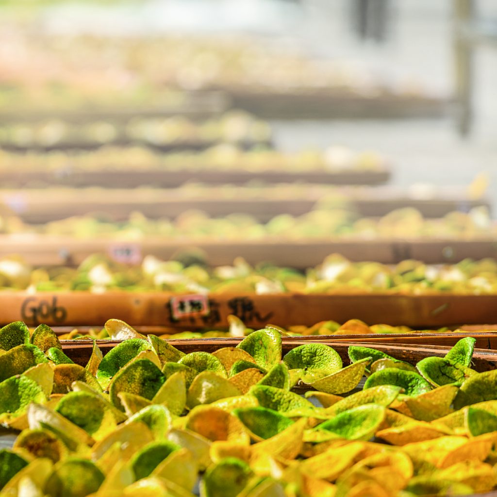 MEIJIAN GREEN PLUM LIQUEUR - Jiangji Distillery